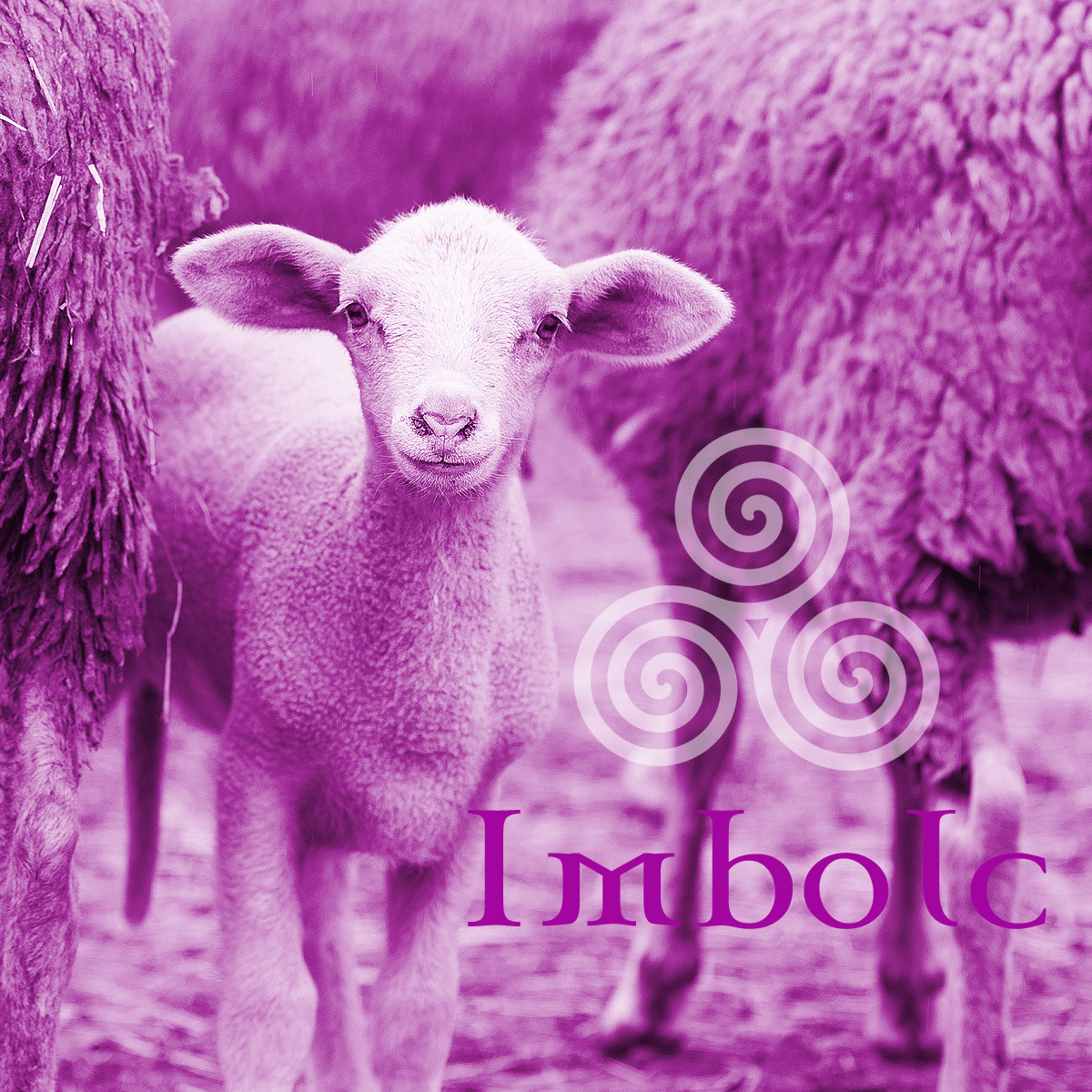 Imbolc or Brigid’s Day – Magical Veela